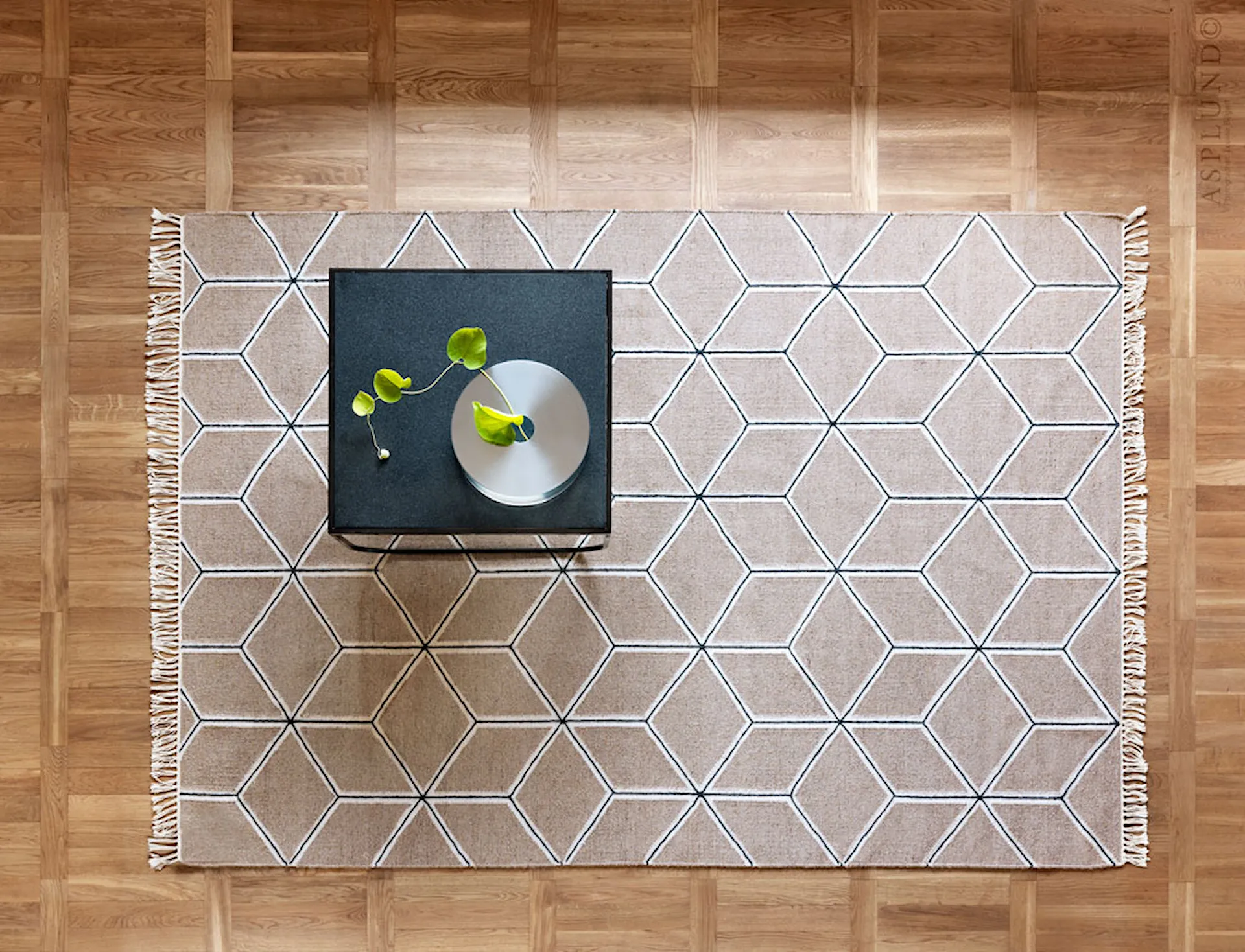 Köp Star Carpet från Asplund | Nordiska Galleriet